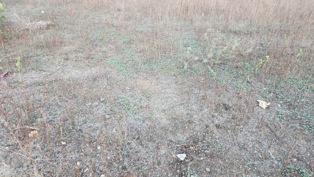 TAMARIN - Land with mountain views, a great opportunity not to be missed