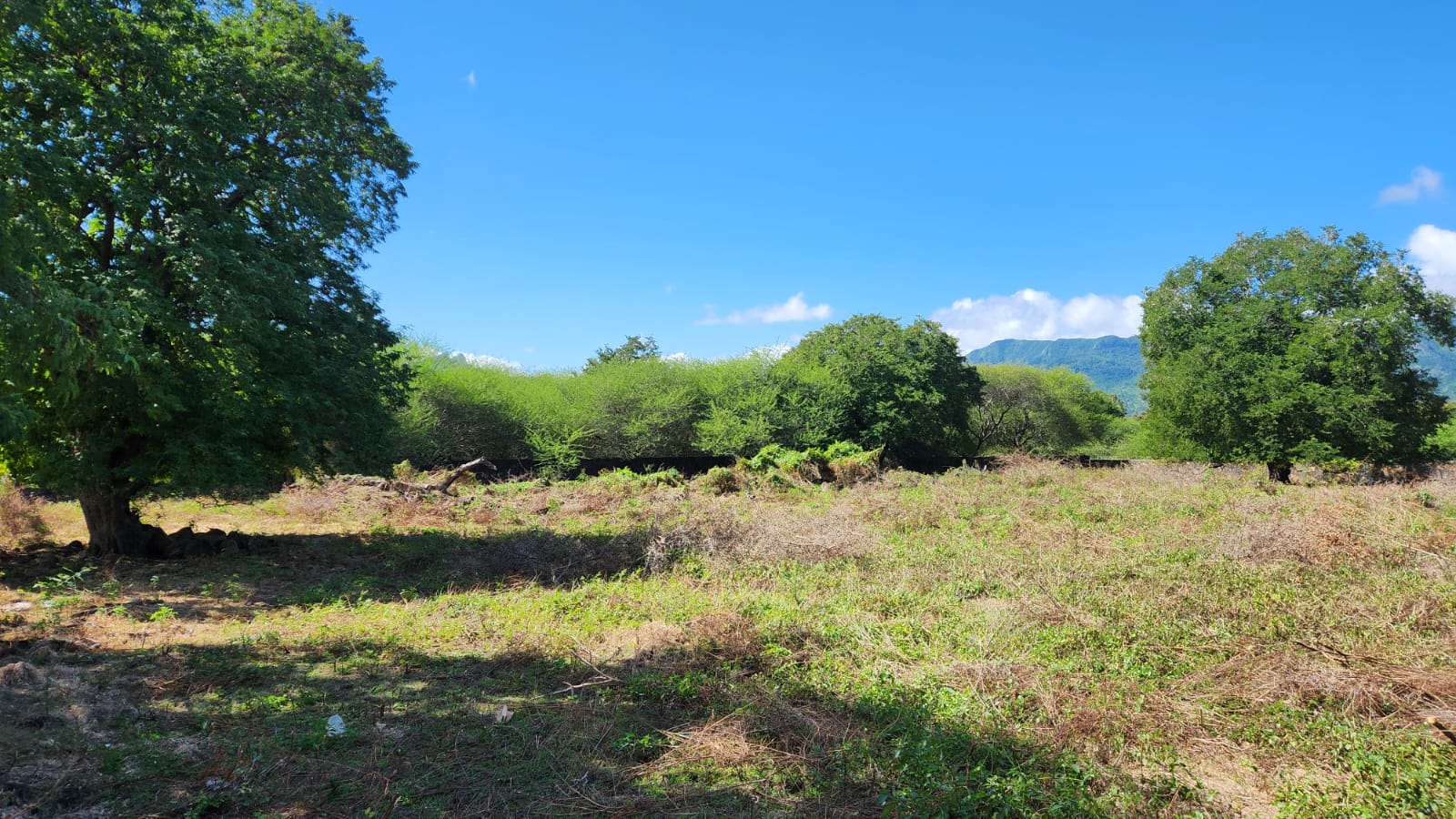 TAMARIN - Land for sale in a secure development